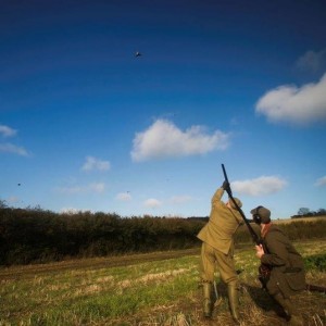 Game Shooting - Brook Farm